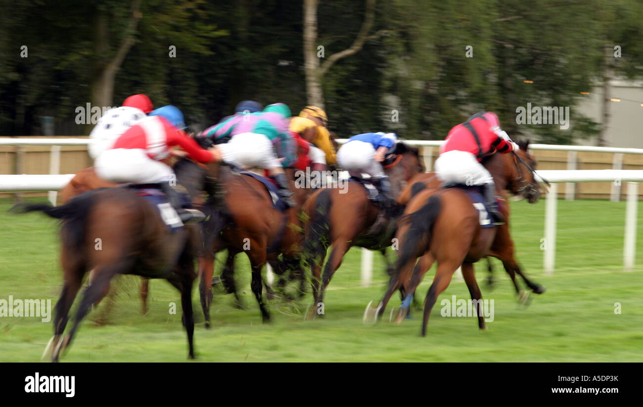 Race horses winning post hi-res stock photography and images - Alamy