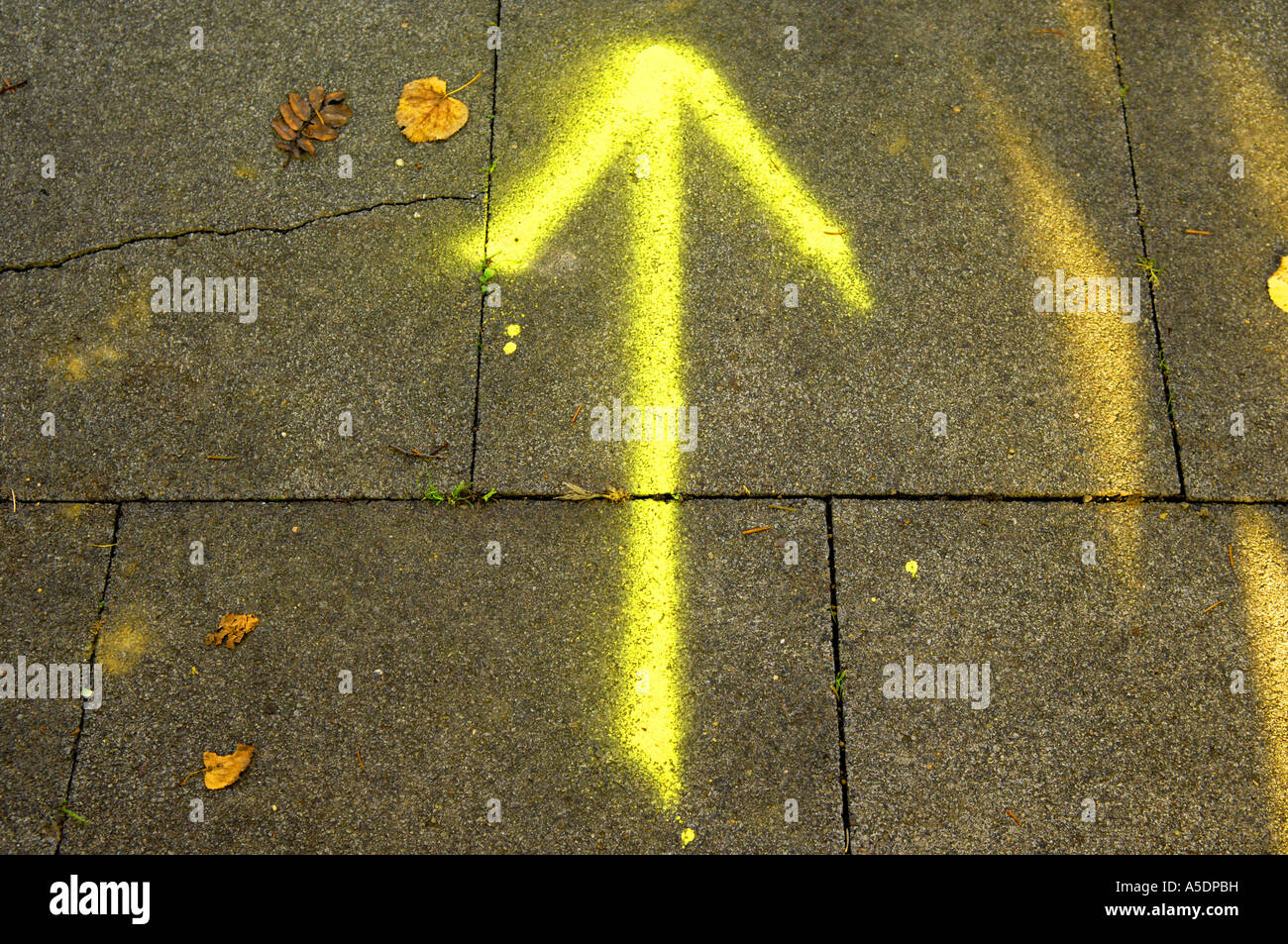 yellow arrow direction concept journey pavement sidewalk floor ground ...