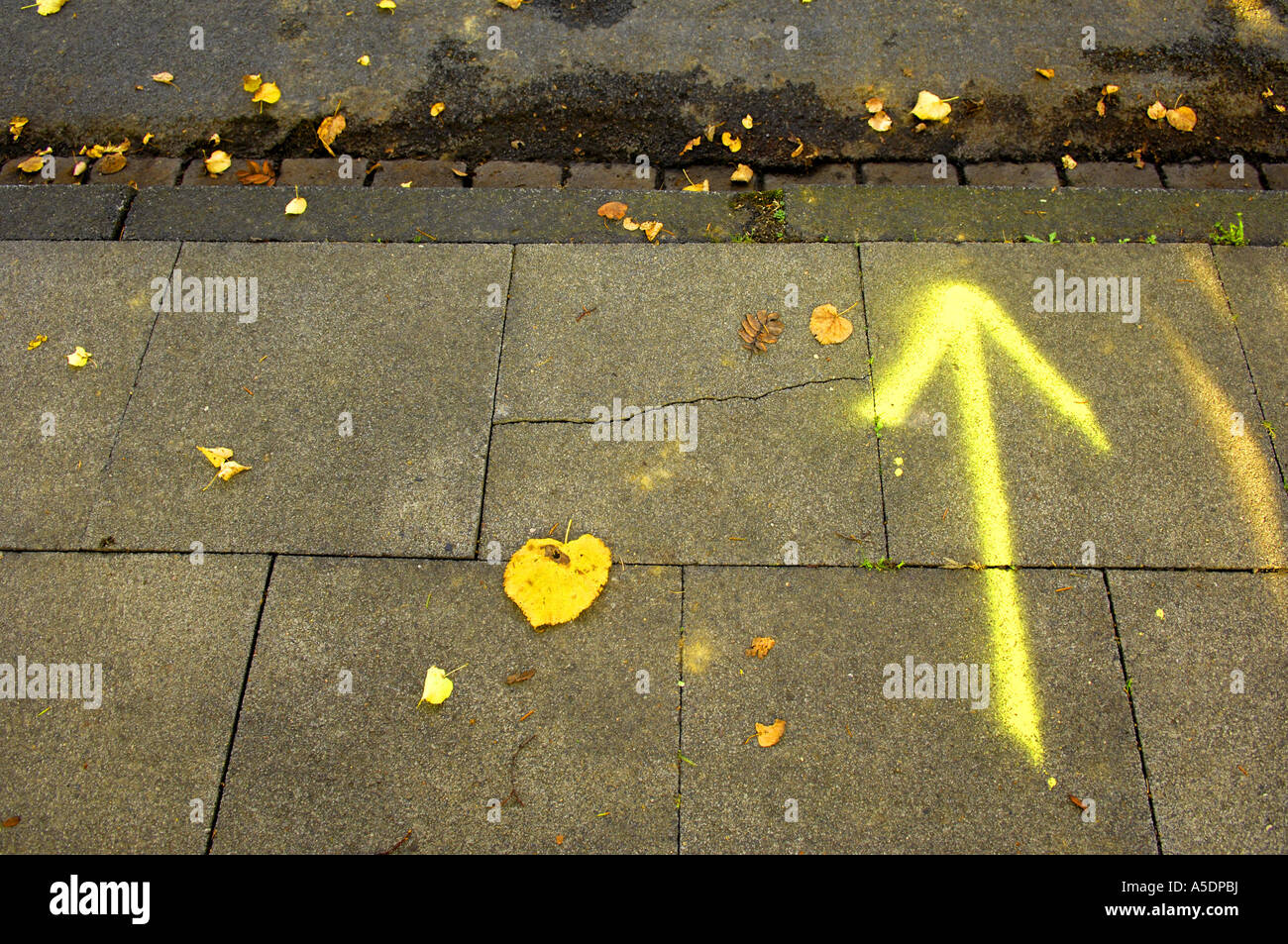 yellow arrow direction concept journey pavement sidewalk floor ground ...