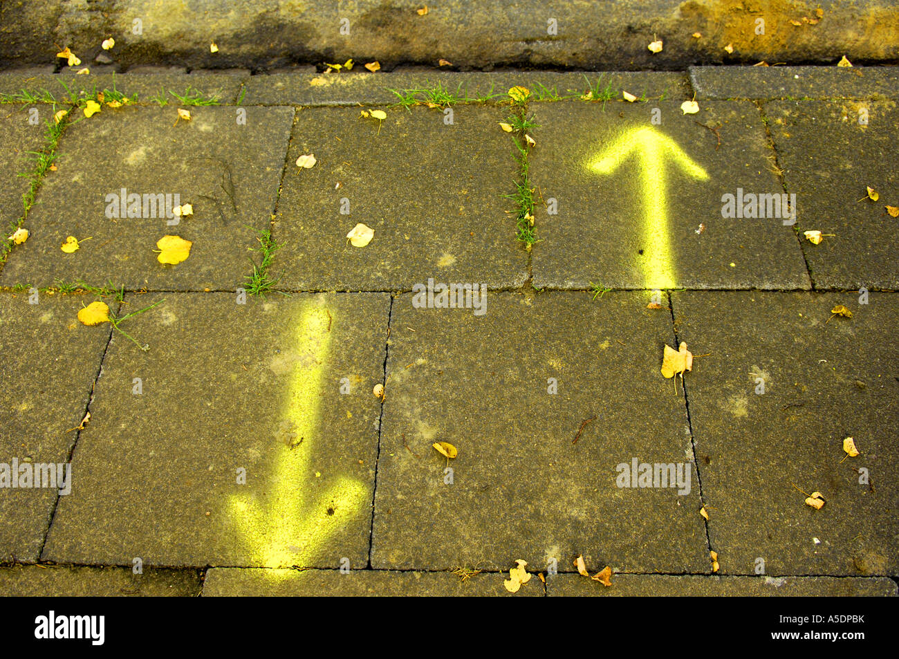 yellow arrow direction concept journey pavement sidewalk floor ground ...