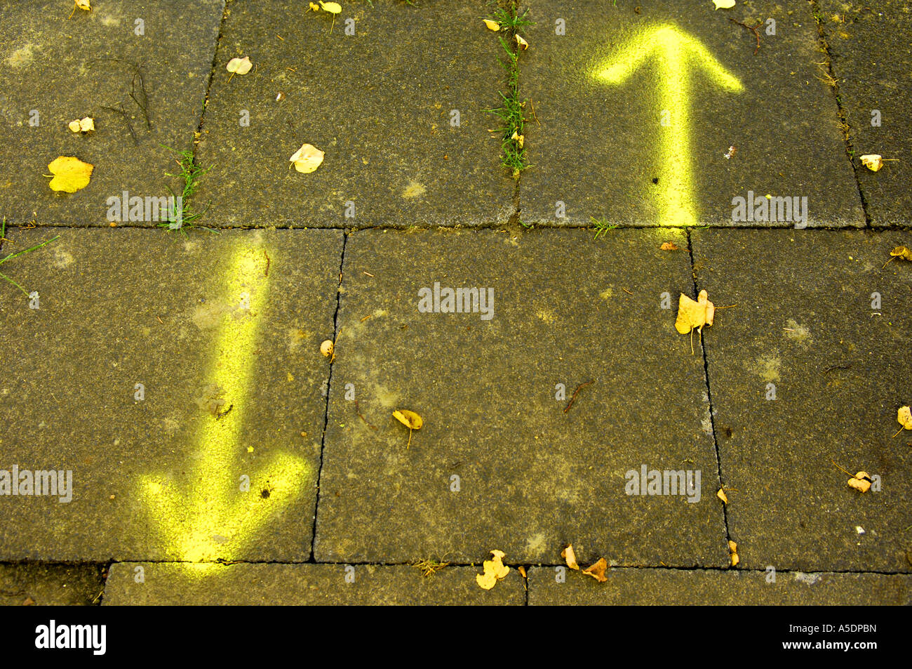 yellow arrow direction concept journey pavement sidewalk floor ground ...