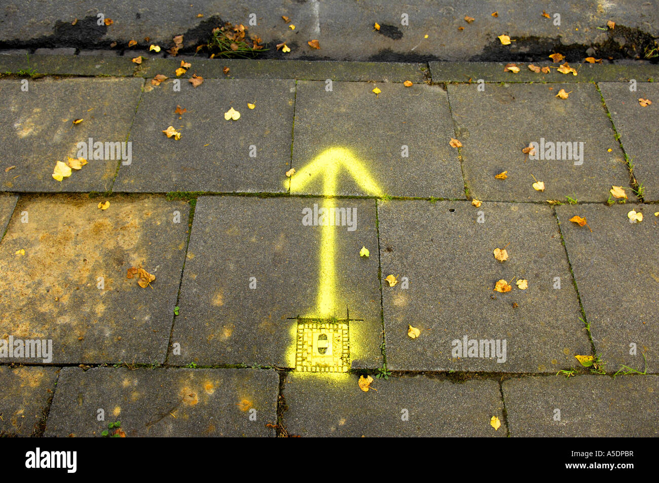 yellow arrow direction concept journey pavement sidewalk floor ground ...