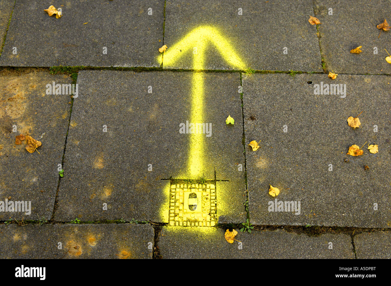 yellow arrow direction concept journey pavement sidewalk nature grass ...