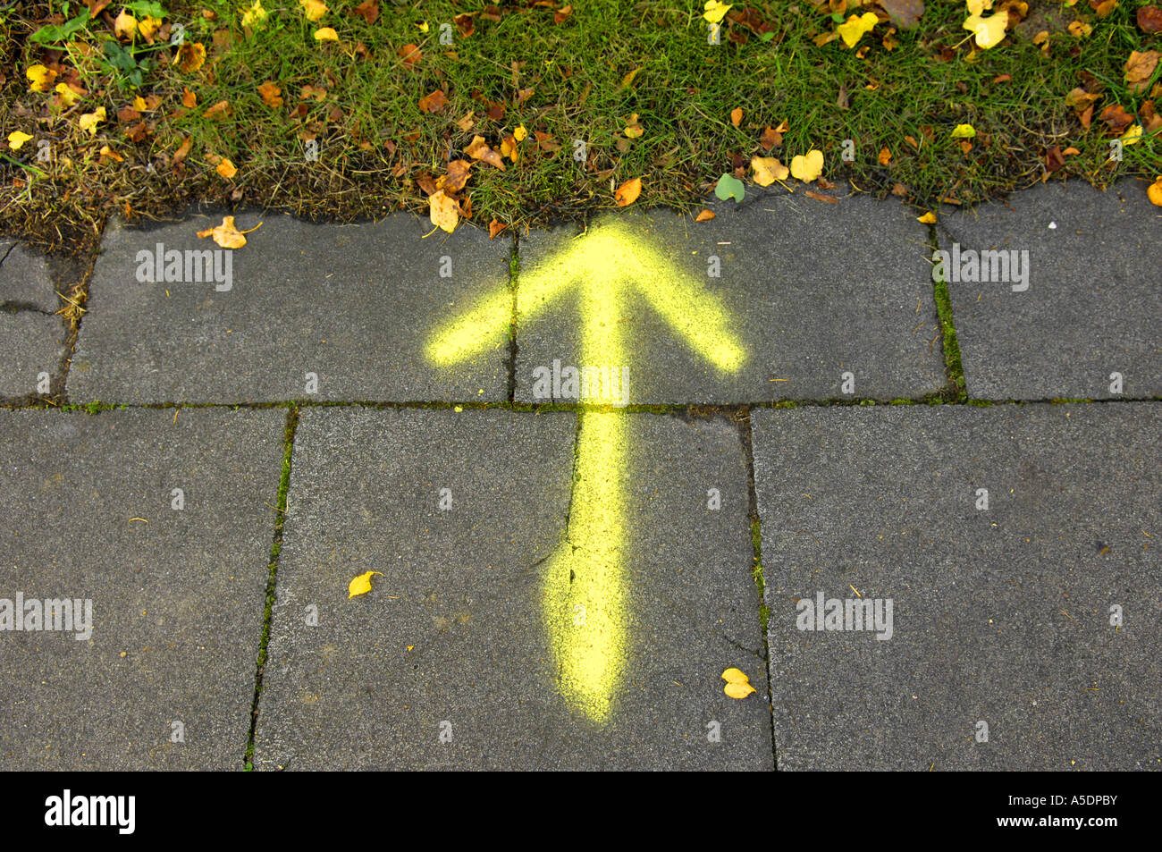 yellow arrow direction concept journey pavement sidewalk nature grass ...