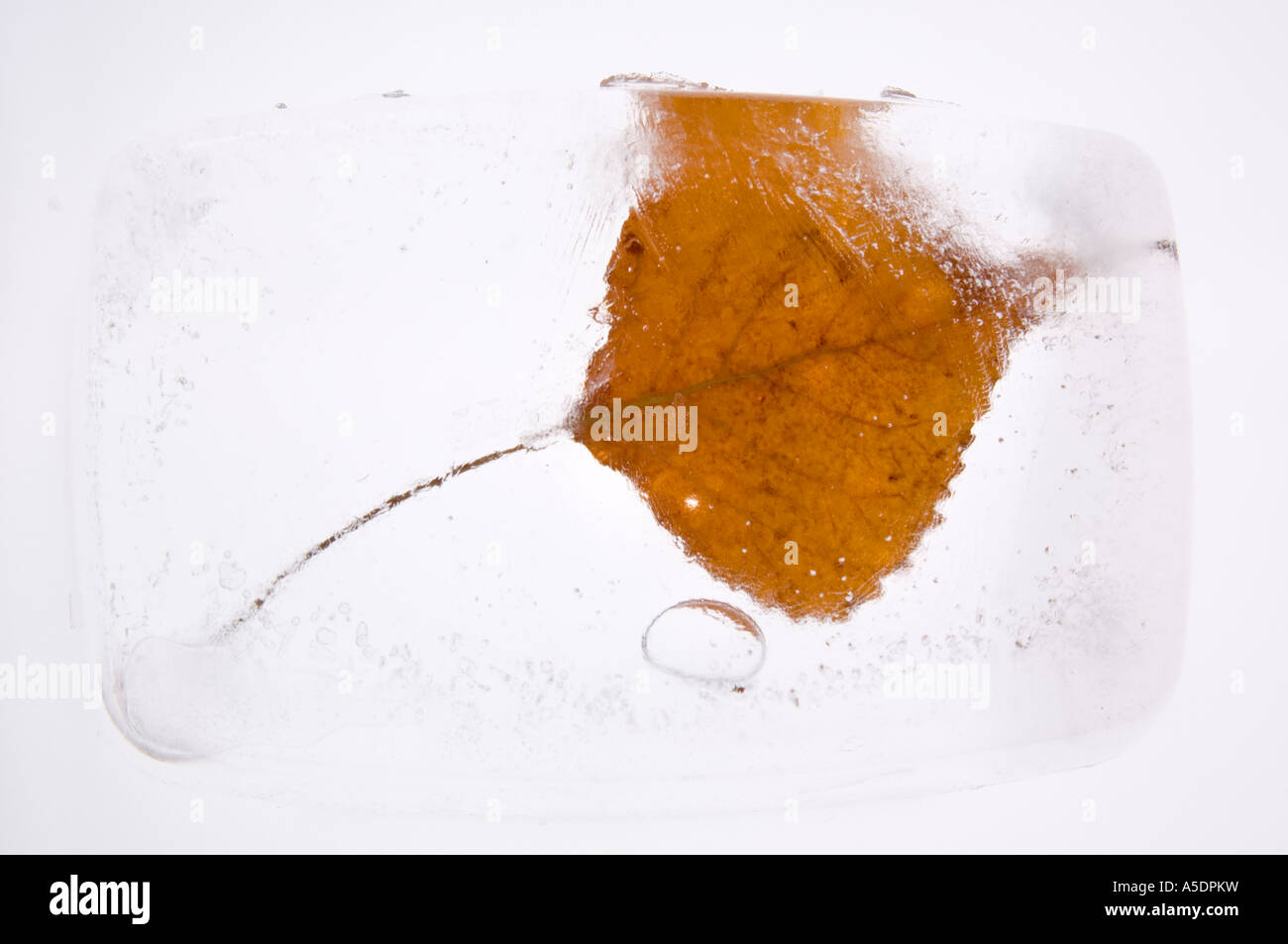 Cold yellow Cut Out Stock Images & Pictures - Alamy