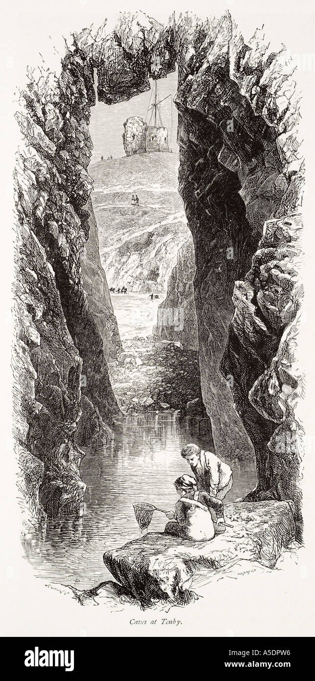 Rock pool line drawing hi-res stock photography and images - Alamy