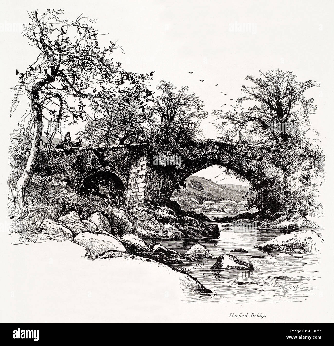 Harford Devon river dart Devonshire arch stone transport tree rock ...