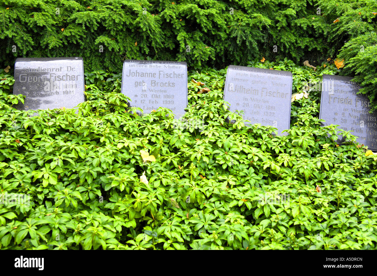 cemetery graveyard colour color horizontal german germany deutsch ...