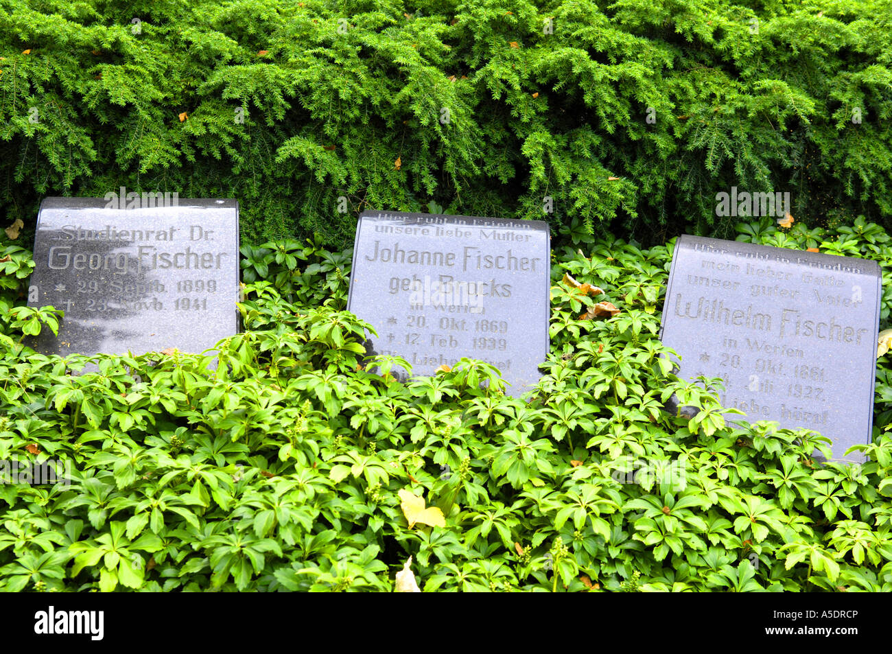cemetery graveyard colour color horizontal german germany deutsch ...