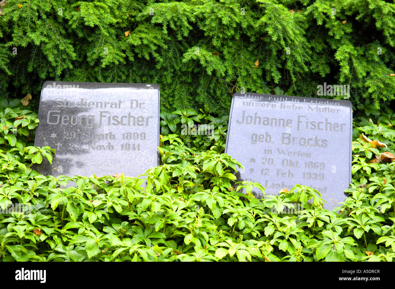 cemetery graveyard colour color horizontal german germany deutsch ...