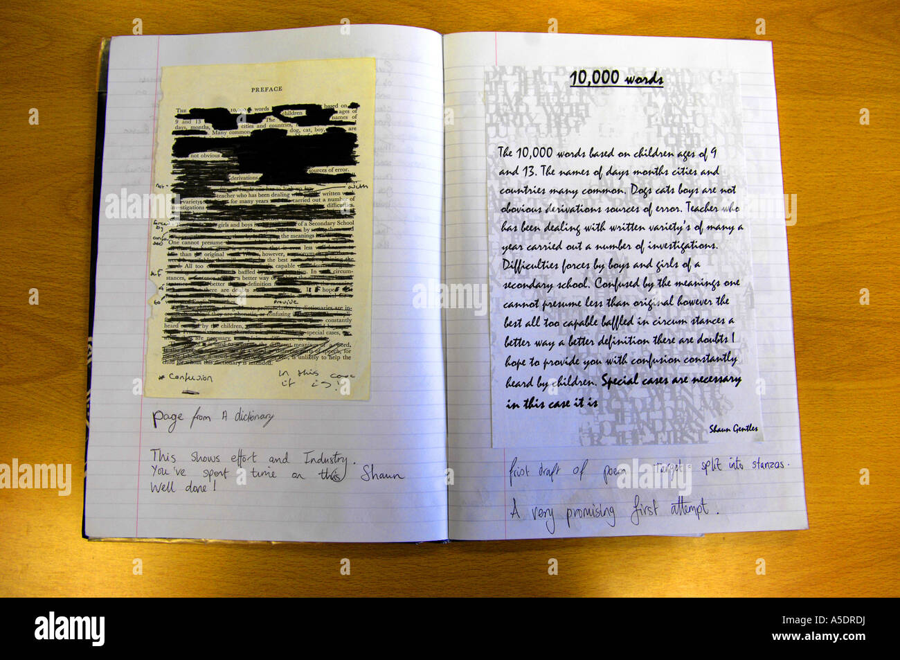 written work keystage three year eight english literacy best book study ...