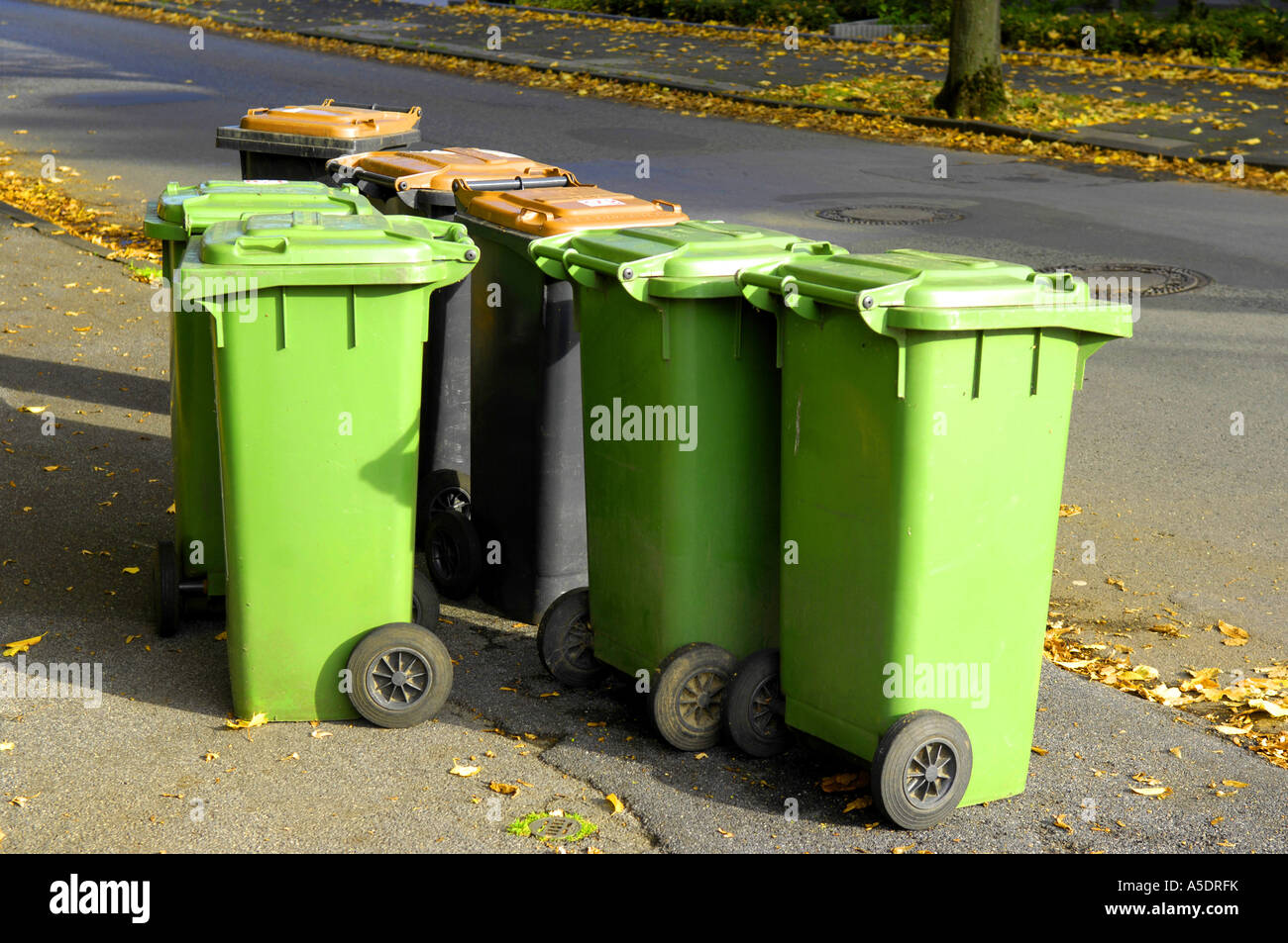 dustbins wastebins waste litter rubbish refuse hygiene domestic green ...