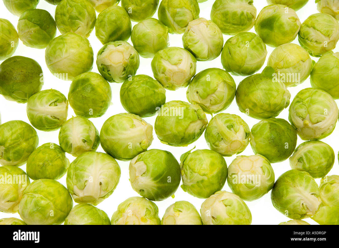Picture of brussel sprouts hi-res stock photography and images - Alamy