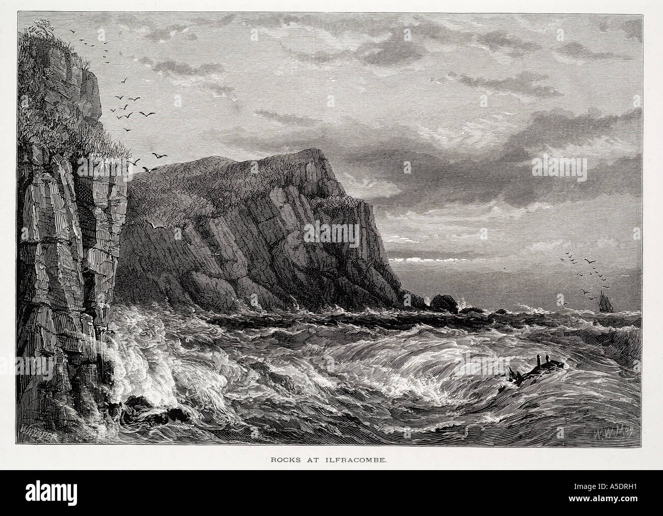 cliff ilfracombe north devon wave water cove marine maritime rock sheer ...