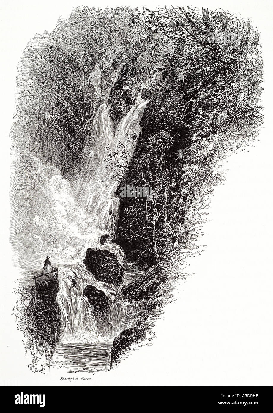 stockghyl force cascade waterfall water river valley boulder rock tree ...