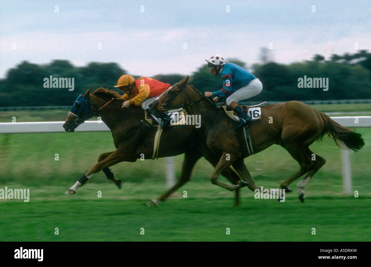 Flat racing jockey hi-res stock photography and images - Alamy