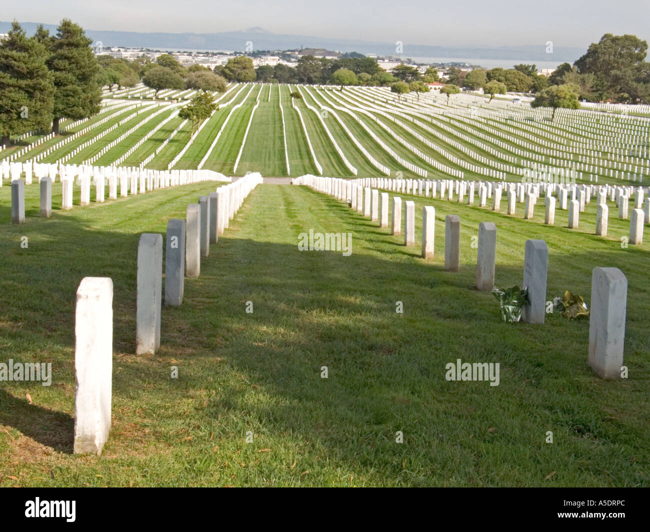 Rows of white marble headstones curve across the grassy landscape of ...