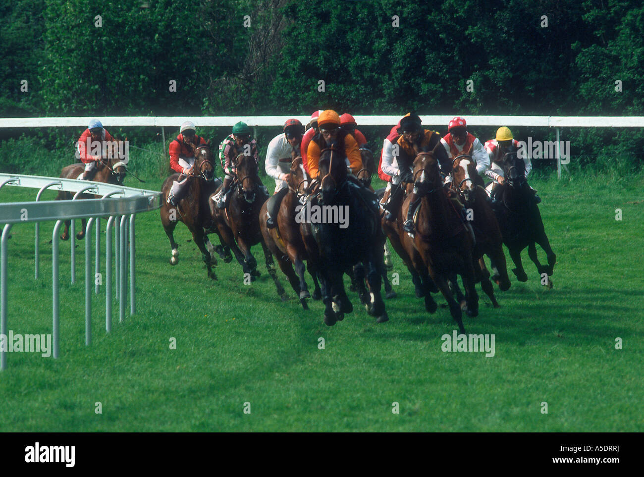 Race horsing going round a bend Stock Photo - Alamy