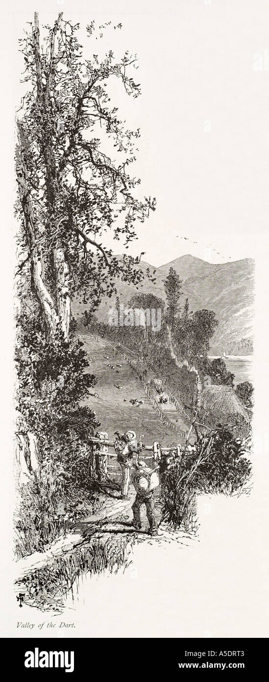 English field fence illustration hi-res stock photography and images ...