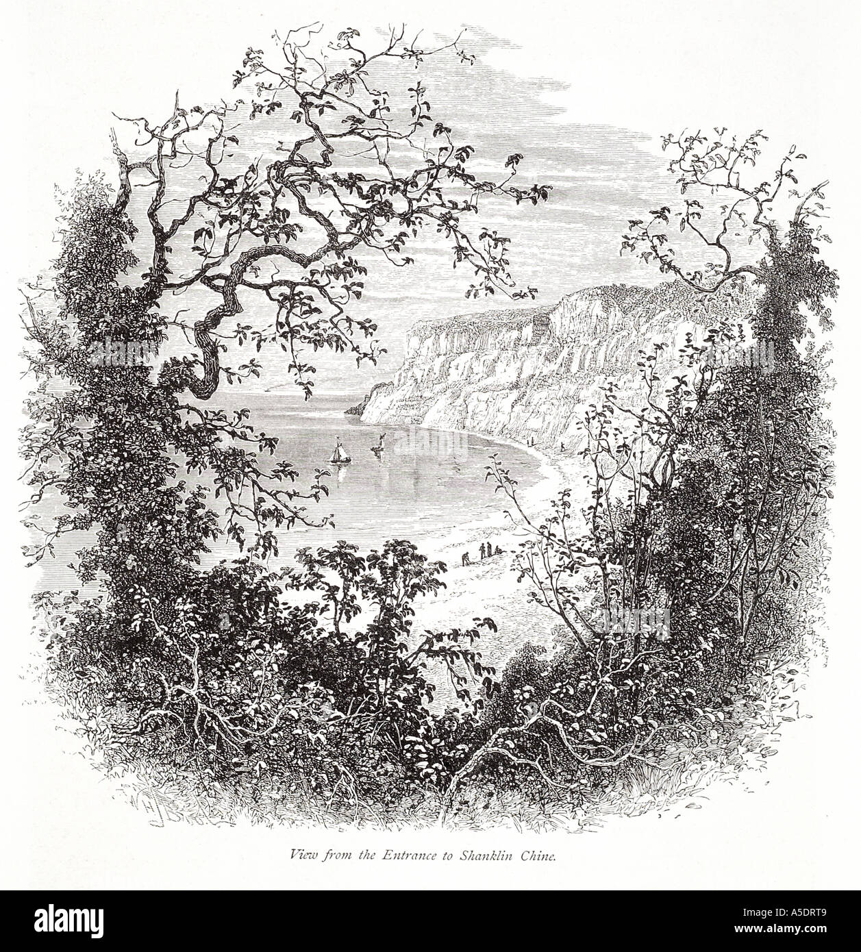 Coastal communication Cut Out Stock Images & Pictures - Alamy