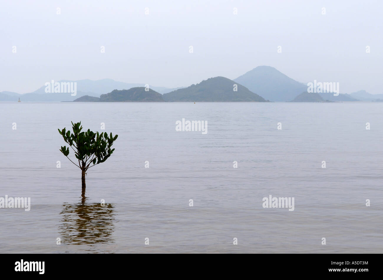 Coastal northeastern asia hi-res stock photography and images - Alamy
