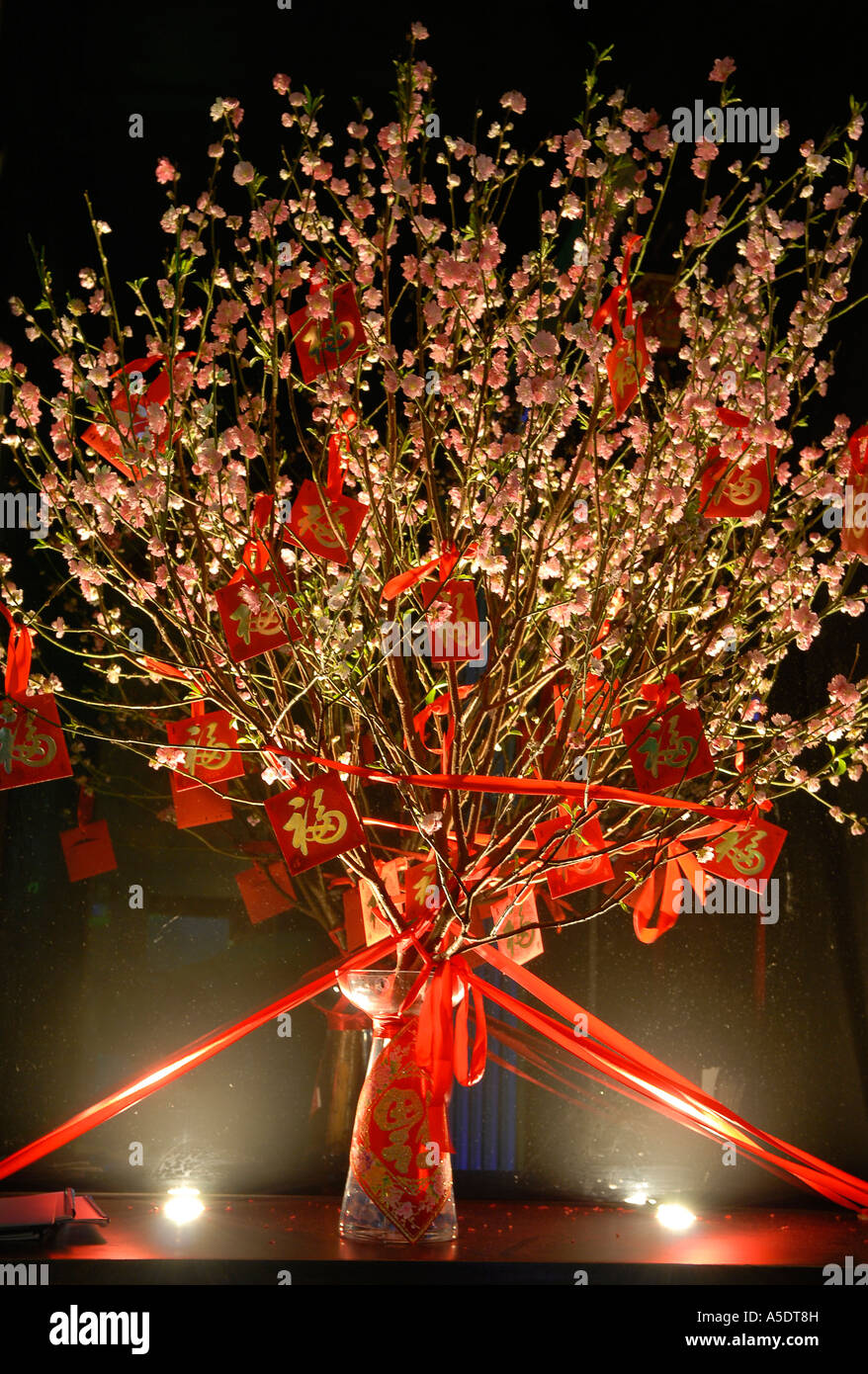 Chinese plum tree hi-res stock photography and images - Alamy