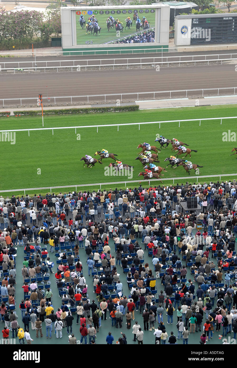 Horse racing crowd hi-res stock photography and images - Alamy