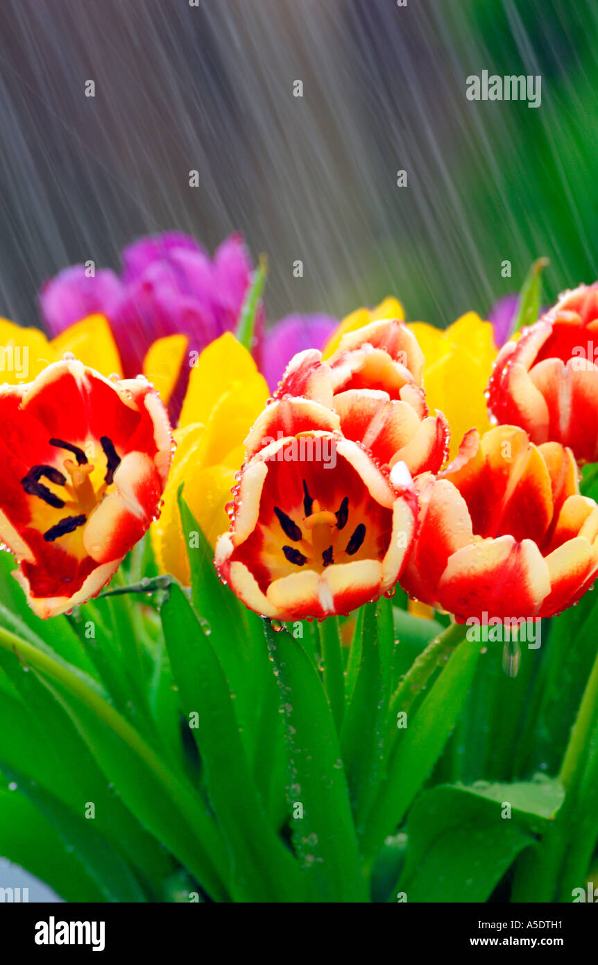 Time spitting hi-res stock photography and images - Alamy