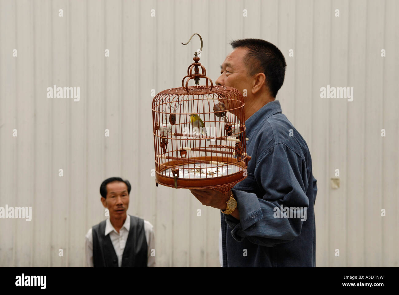 Chinese man with a bird cage hi-res stock photography and images - Alamy