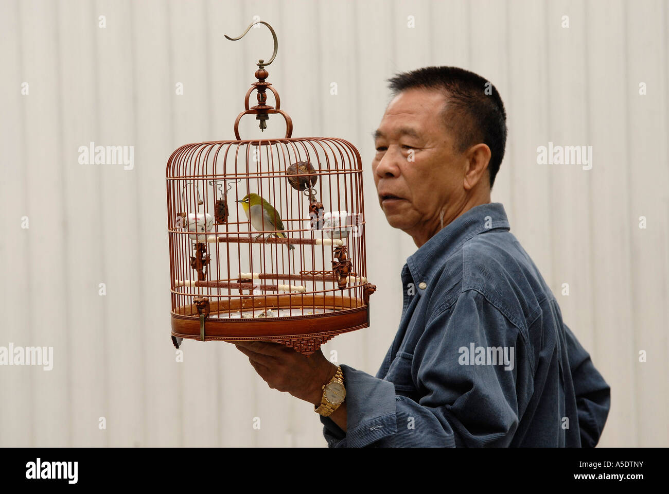 Chinese man with a bird cage hi-res stock photography and images - Alamy