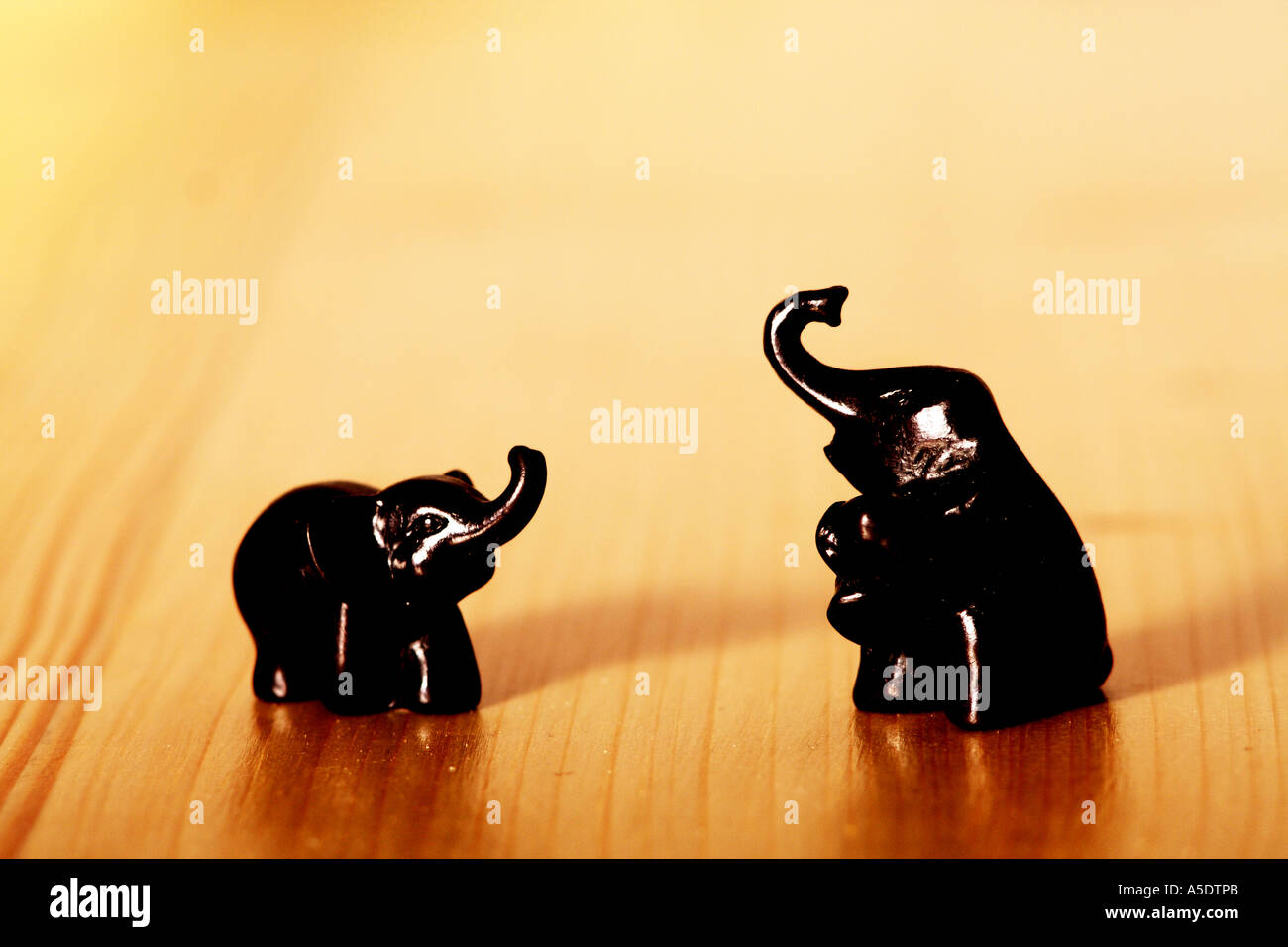 Small elephants hi-res stock photography and images - Alamy