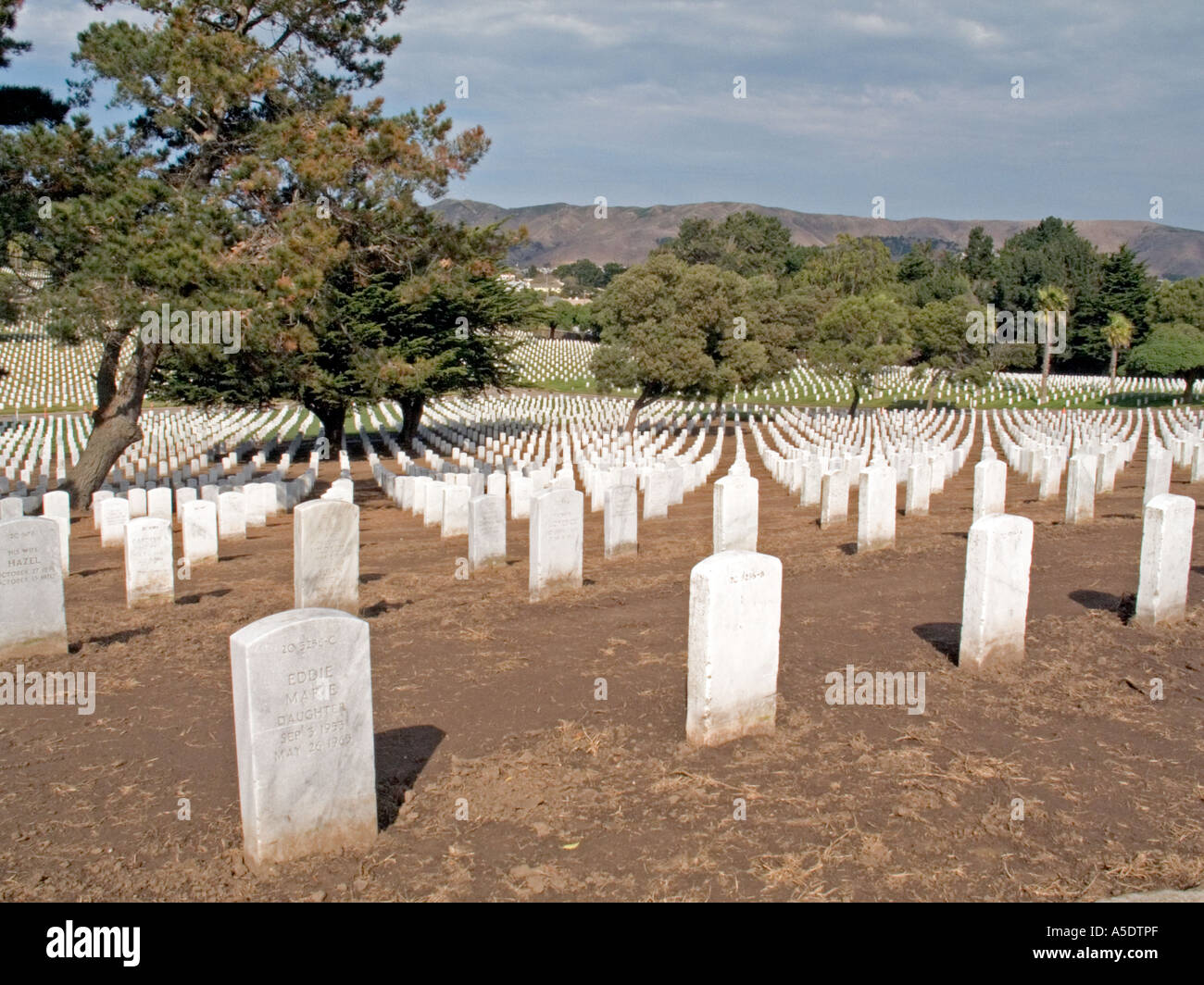 Golden Gate National Cemetery near San Francisco California Stock Photo ...