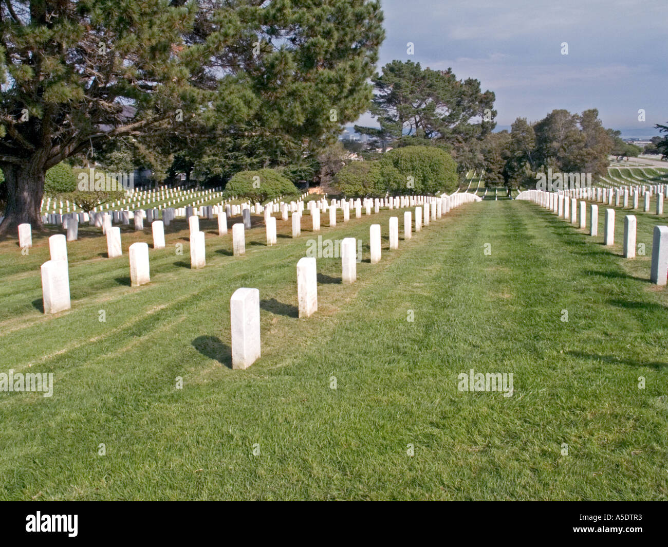Golden gate national cemetery hi-res stock photography and images - Alamy