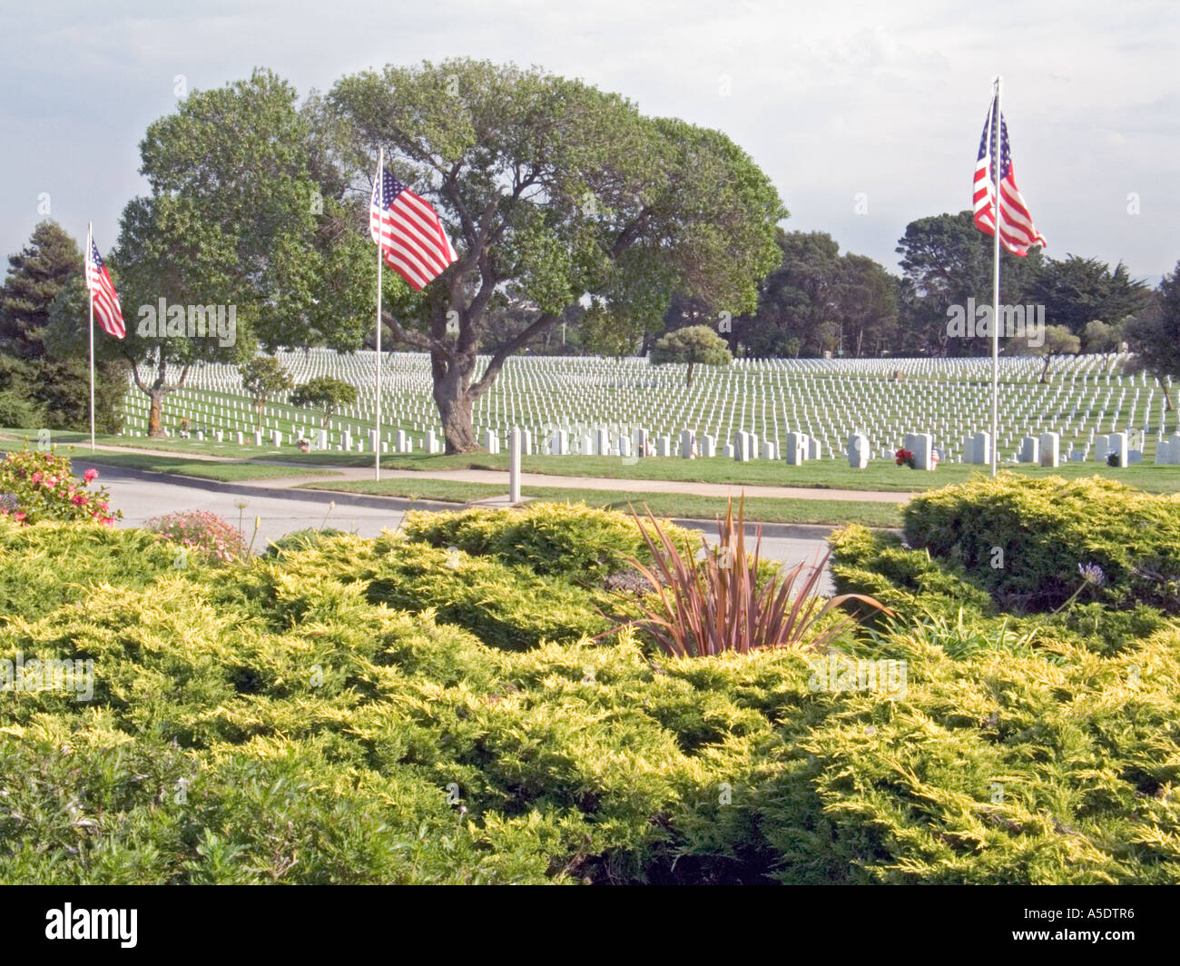 Golden gate national cemetery hi-res stock photography and images - Alamy