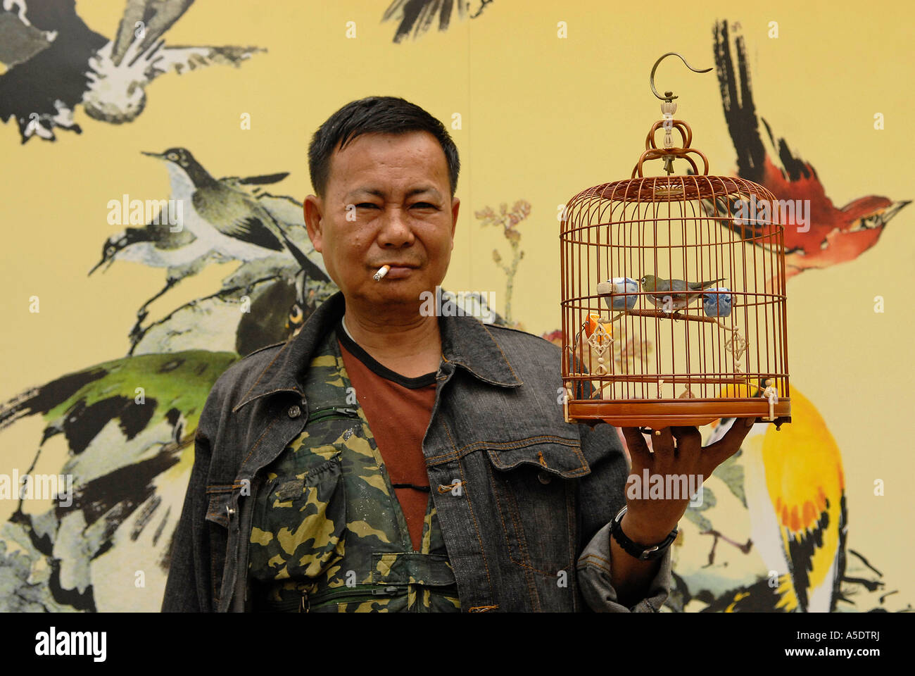 Chinese man with a bird cage hi-res stock photography and images - Alamy
