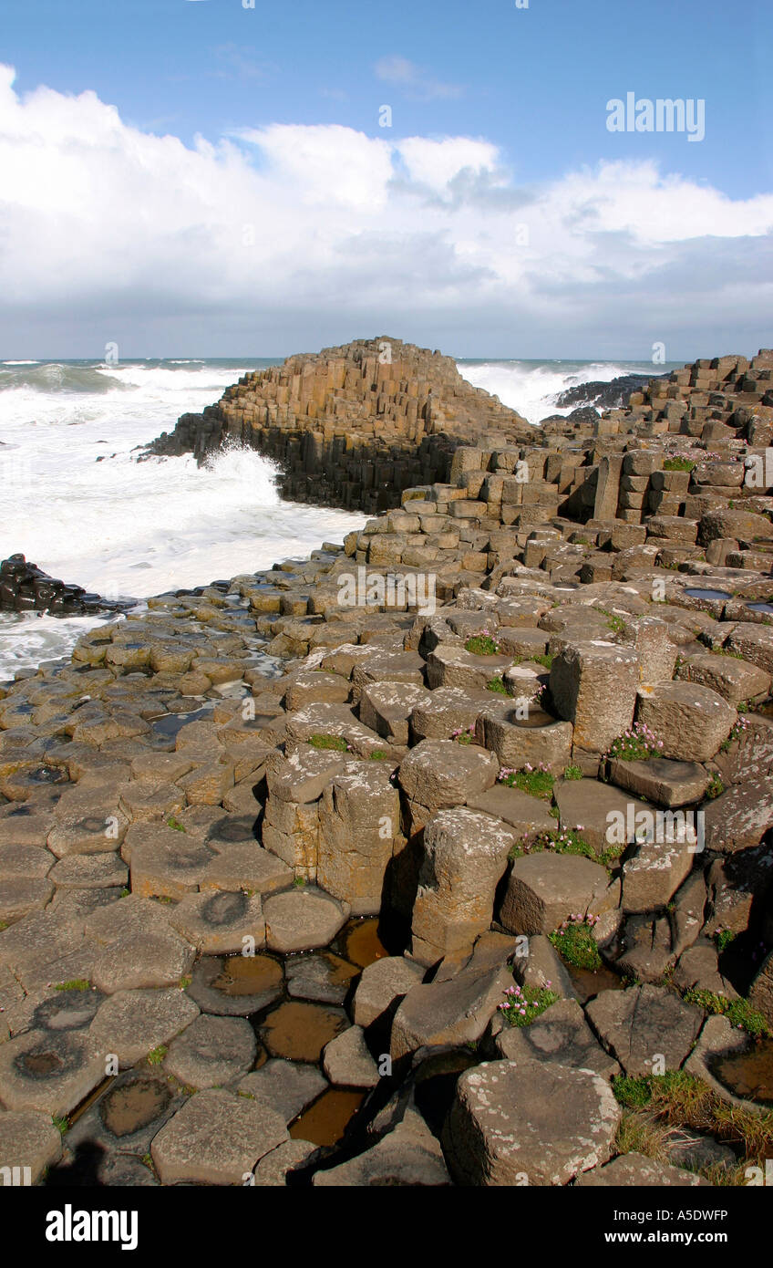 UK Northern Ireland County Antrim Giants Causeway Stock Photo - Alamy
