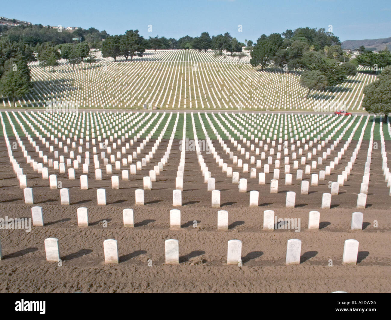 Golden Gate National Cemetery near San Francisco CA Stock Photo - Alamy