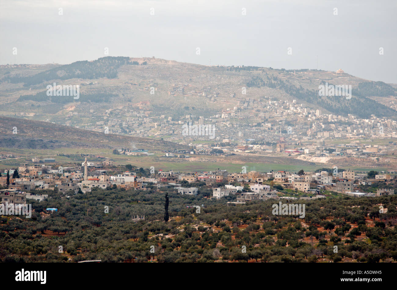 The city of Nablus Palestine Stock Photo - Alamy