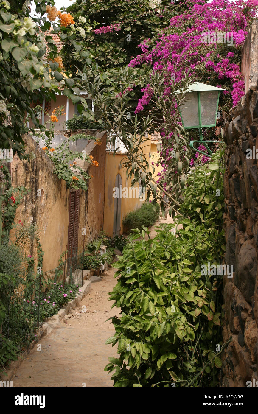 Senegal Isle de Goree flower filled alleyway Stock Photo - Alamy