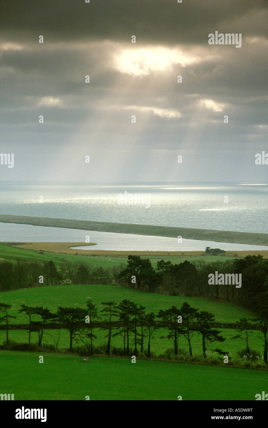 Positivirt hi-res stock photography and images - Alamy