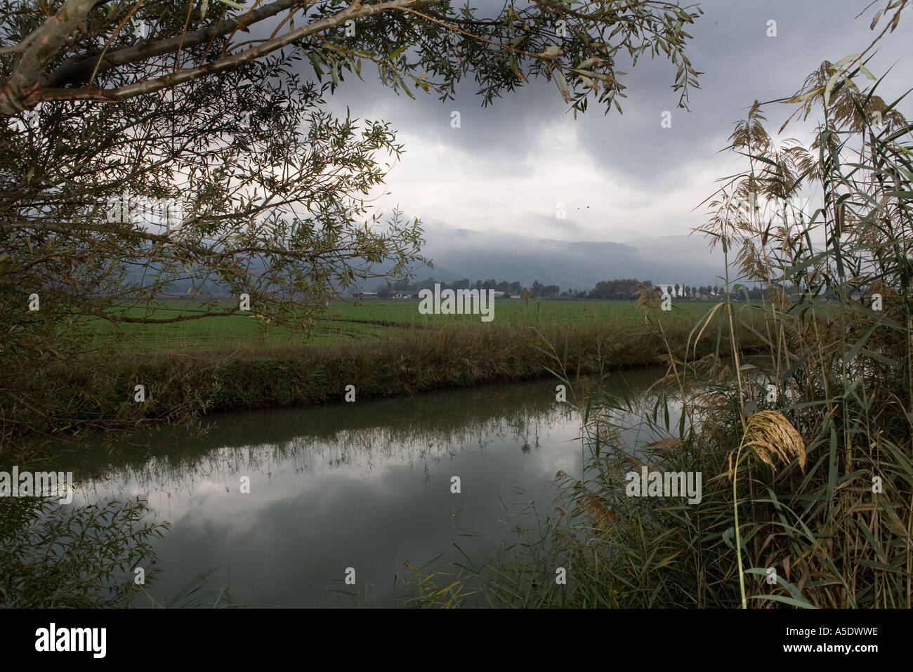 With lake huleh hi-res stock photography and images - Alamy