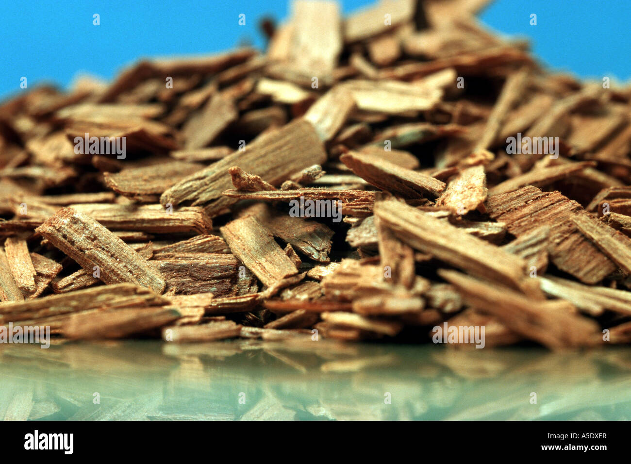 Red Sanders Wood at JENENGE blog