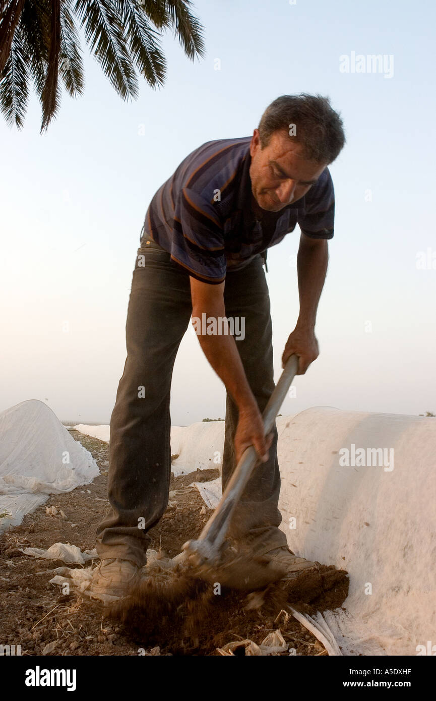 Farmer land cultivation planting soil hi-res stock photography and ...