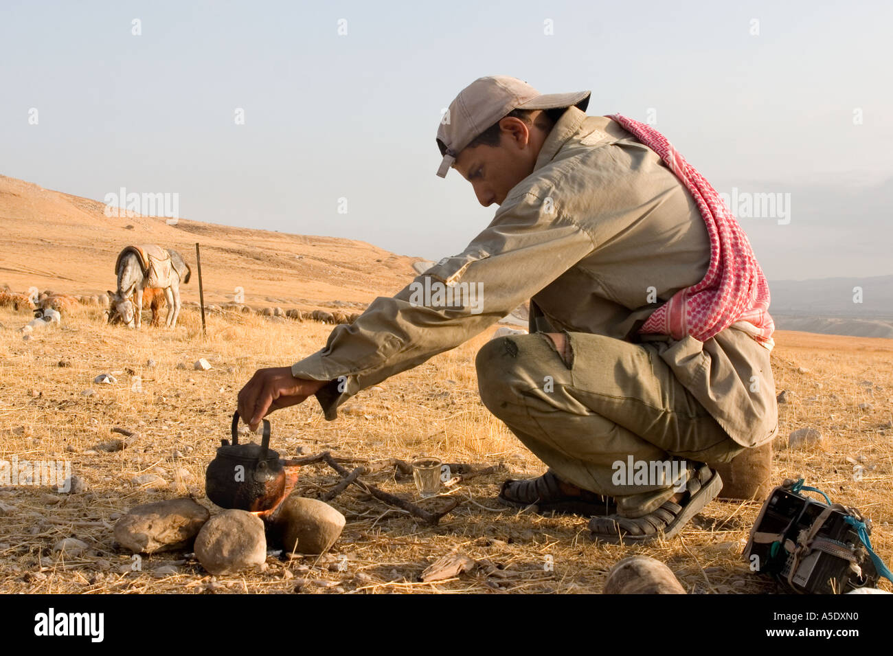 Herdsman middle east hi-res stock photography and images - Alamy