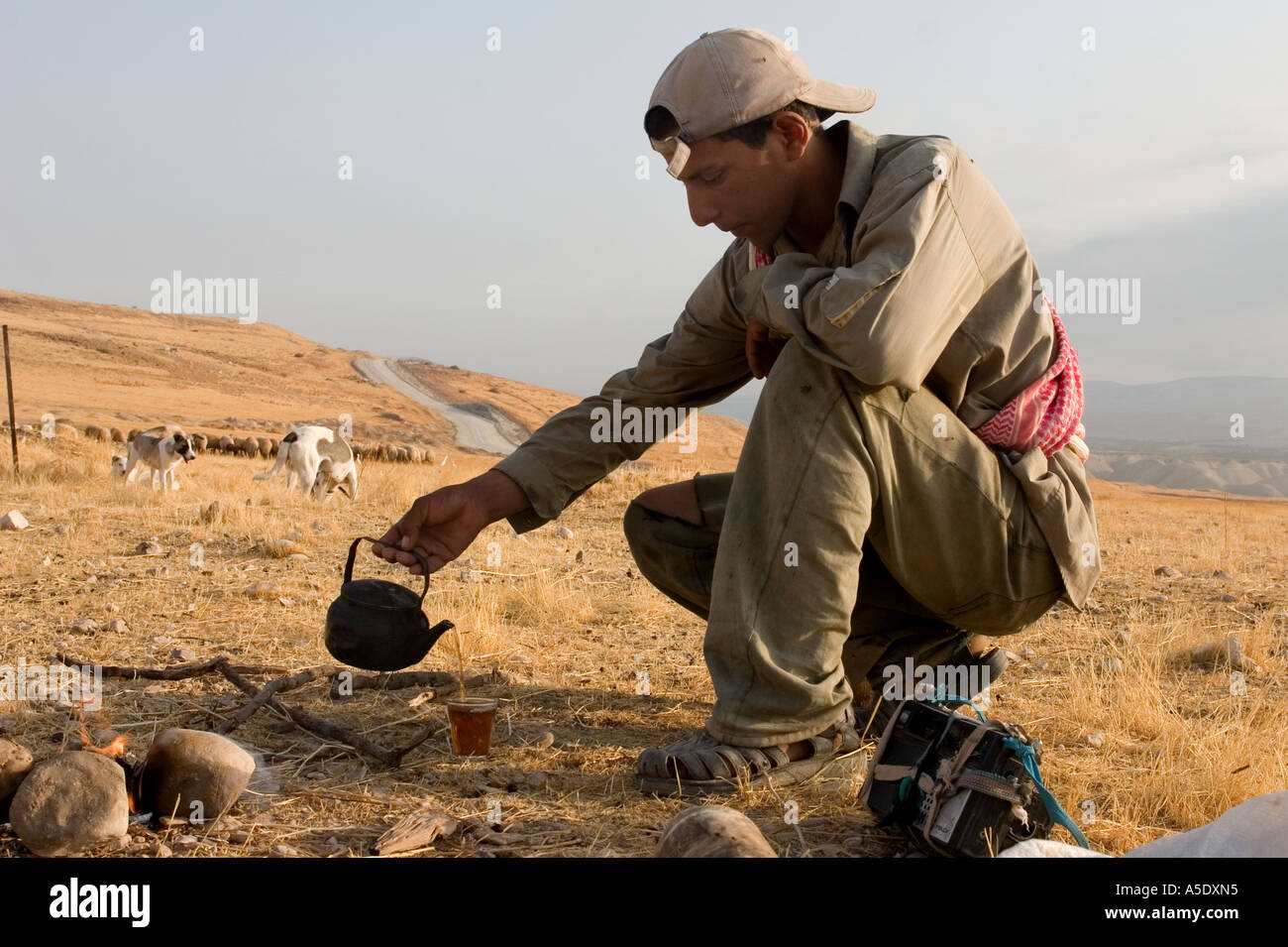 Herdsman middle east hi-res stock photography and images - Alamy