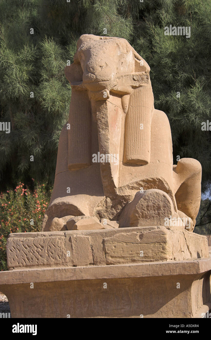 Ram Sphinx at the Entrance to the Temple of Karnak, Luxor, Egypt Stock ...