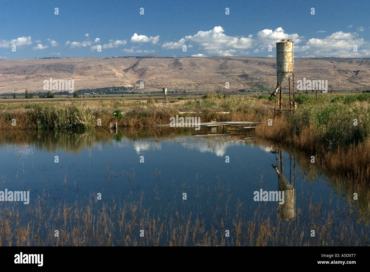 Fish pond at Kibbutz kfar Giladi Stock Photo - Alamy