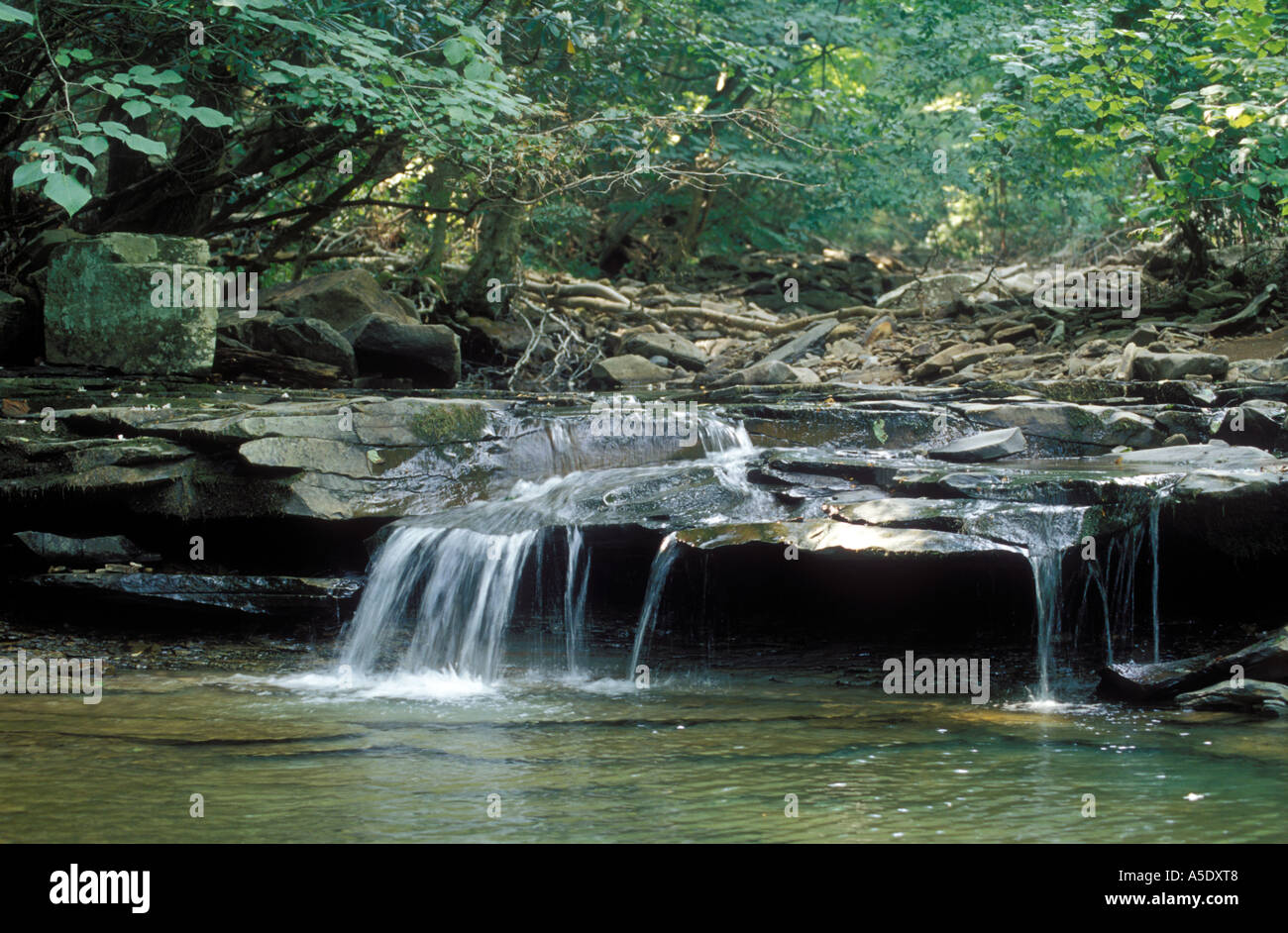 Right Fork of Clover Run, Near St. George, Tucker County, West Virginia ...