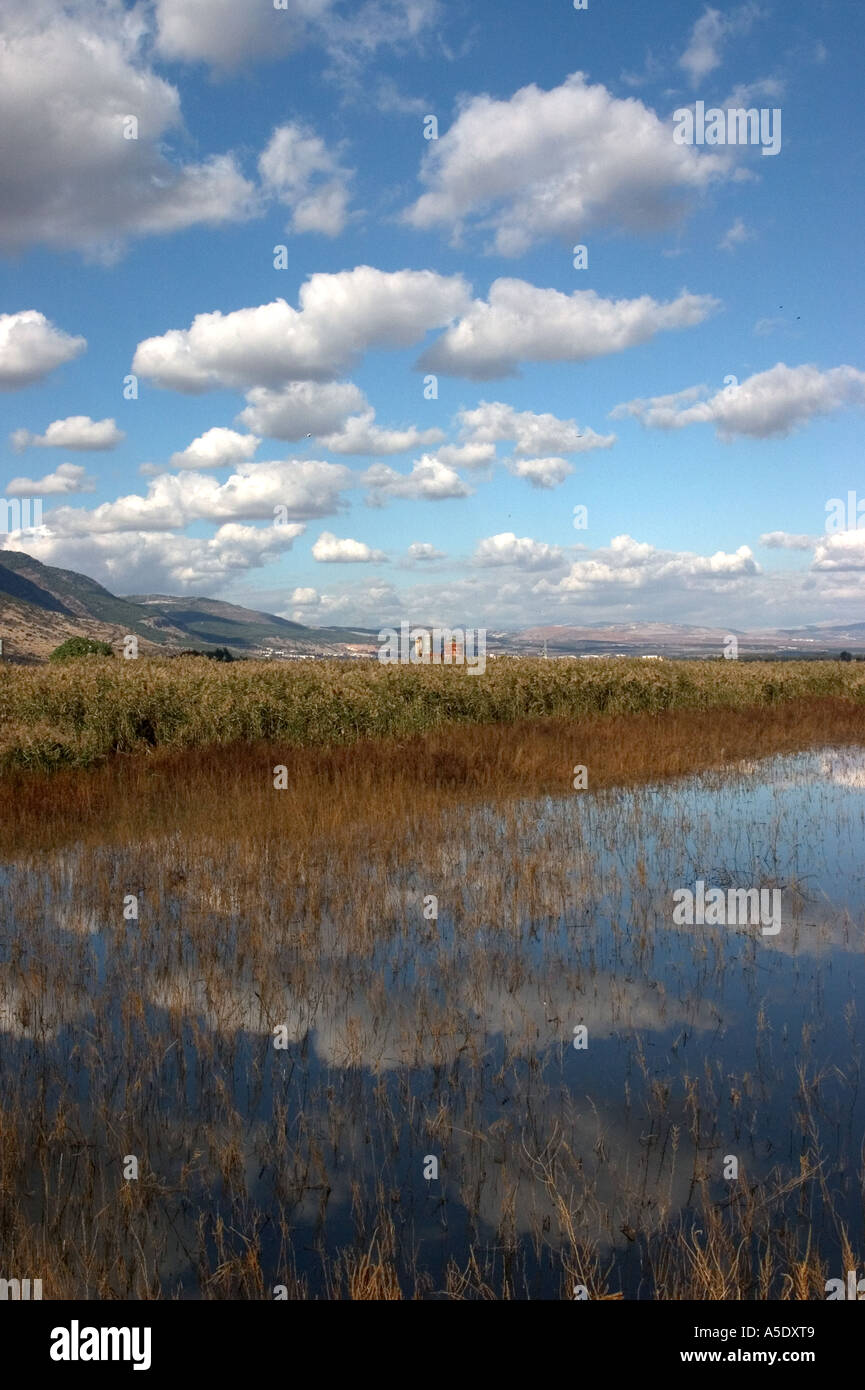 Kfar Giladi High Resolution Stock Photography and Images - Alamy