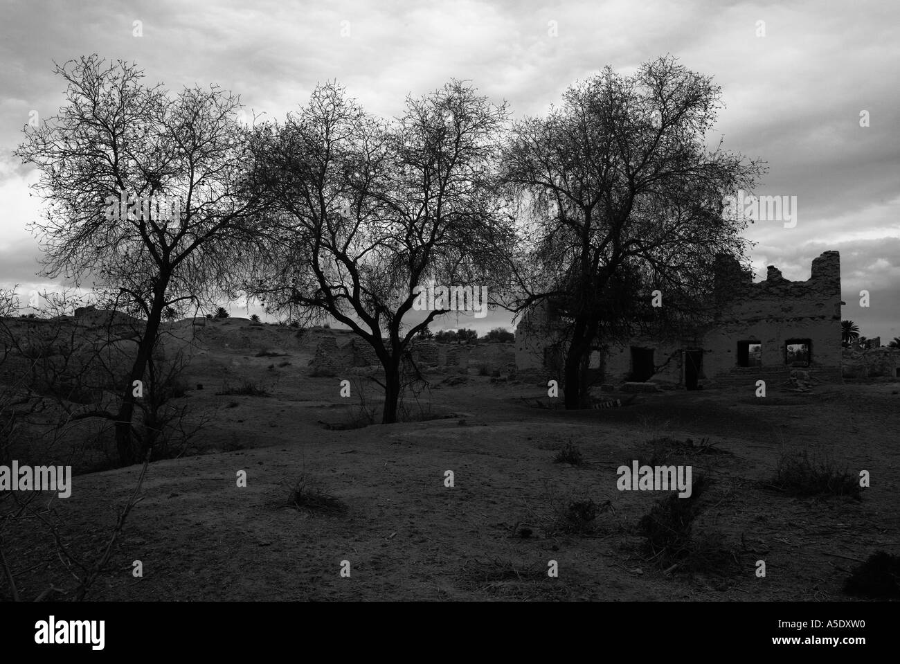 Landscape of the Jordan Valley Israel Stock Photo - Alamy